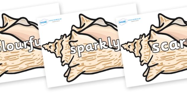 FREE! - Wow Words on Conch Shells (teacher made)