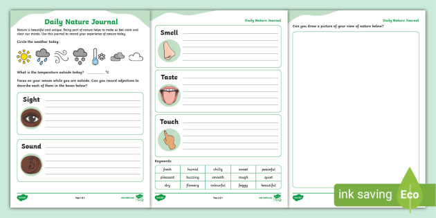 Daily Nature Journal Activity,outdoor writing (teacher made)