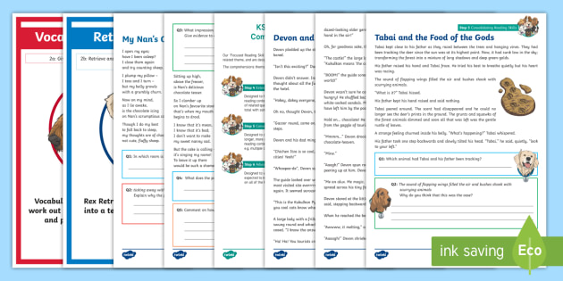 Chocolate Reading Comprehension KS2 | Focused Reading Skills