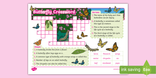 Butterfly Crossword - Twinkl - KS1 (teacher made)