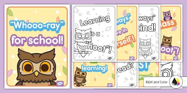 Owl Arts | twinkl.com