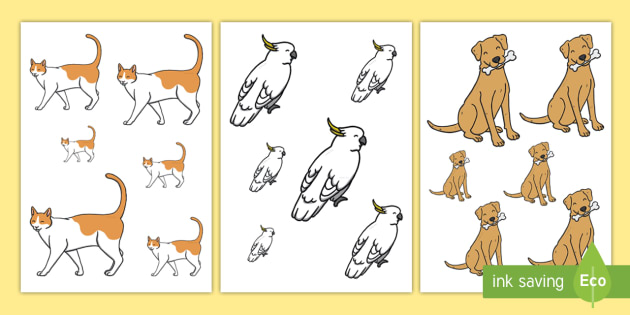 Pets Size Ordering (teacher made)