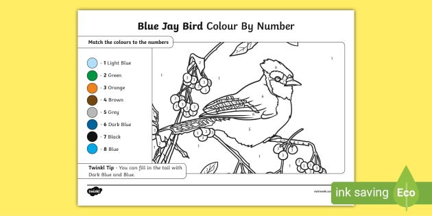 FREE! - Blue Jay Bird Colour by Number (teacher made)