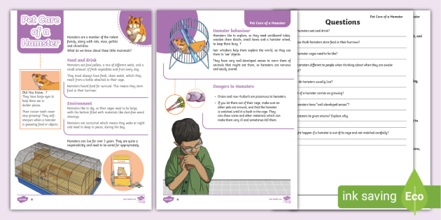 KS2 Pet Care of a Hamster Differentiated Reading Comprehension Activity