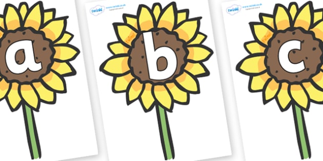 Phonics Phoneme Set • Twinkl.ca