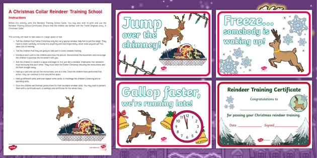 Reindeer Training School Resource Pack (teacher made)