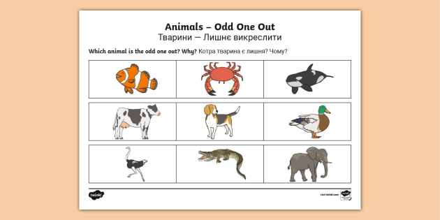 FREE! - Ukrainian Translation Animals Odd One Out Sheet