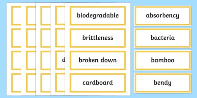 Material World Word Wall Display Cards (teacher made)