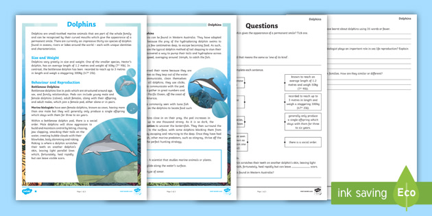 Dolphins Differentiated Reading Comprehension Ages 9-11