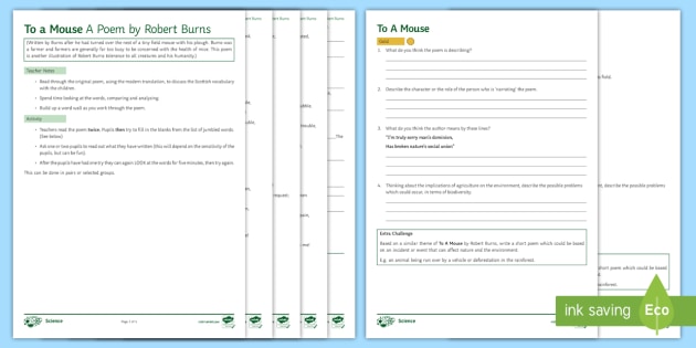 Burns Night To a Mouse Worksheet (teacher made)