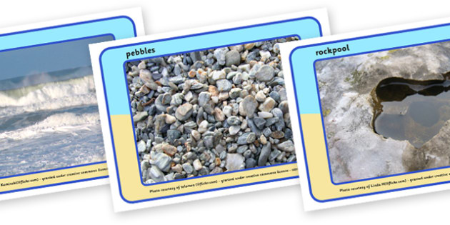 Seaside Display Photos (teacher made)