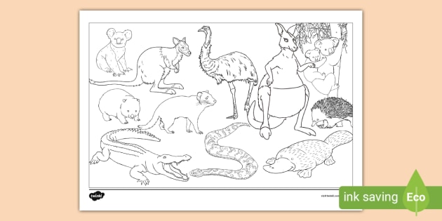 Australian Animals colouring (teacher made)