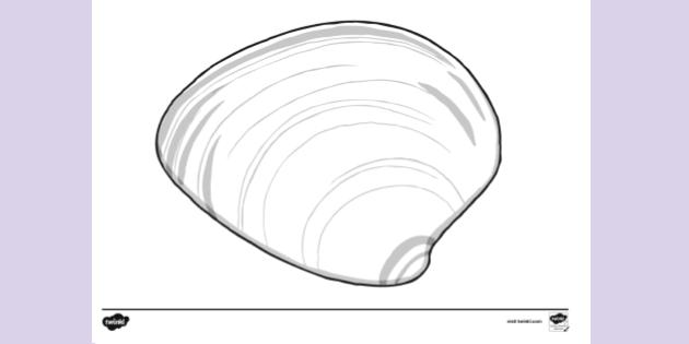 FREE! - Peppery Furrow Shell Colouring Sheet | Colouring Sheets