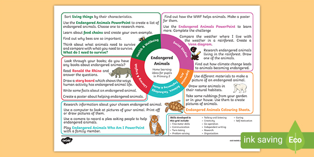 P2 Endangered Animals Mini Home Learning Topic