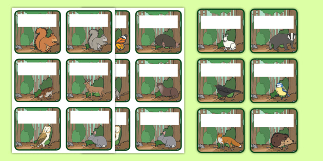 👉 Woodland Animals Themed Square Peg Labels