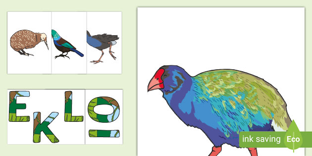 New Zealand Native Birds Door Display (Teacher-Made)