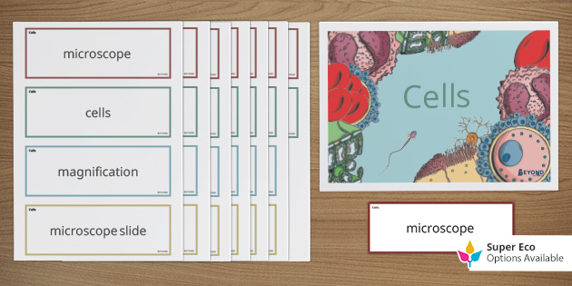 Cells Word Wall (teacher made)