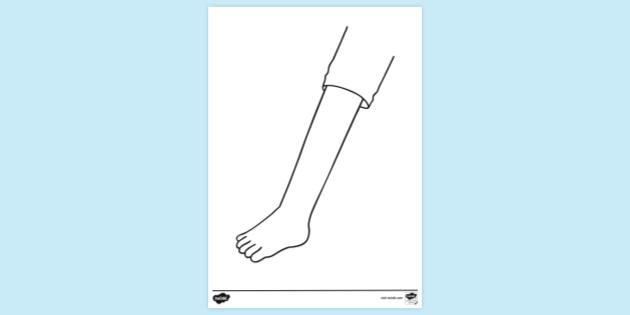 FREE! - Child's Leg Colouring Sheet (teacher made)