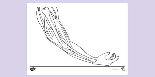 FREE! - Relaxed Arm Colouring | Colouring Sheets