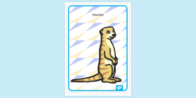 FREE! - Meerkat Poster | Display Materials | Primary Resources