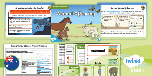 Year 2 Science Living Things Change Lesson 1