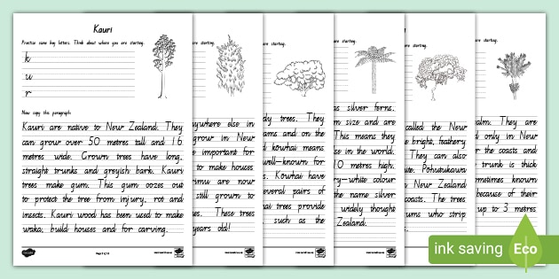 Native New Zealand Trees Handwriting Worksheets