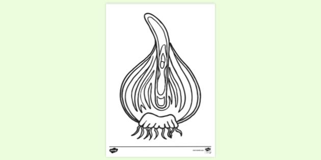 FREE! - Tulip Bulb Colouring Sheets | Colouring Pages