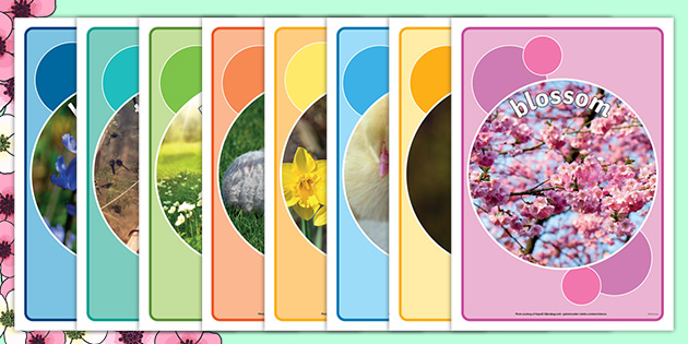 Spring Display Pictures - Printable Primary Resource