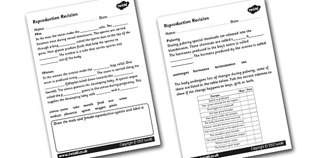 Reproductive Revision Worksheet