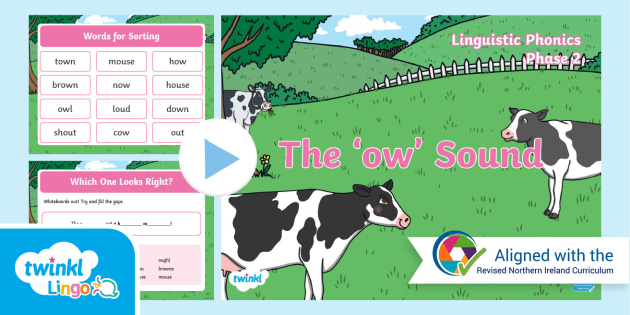 Linguistic Phonics Stages 5/6 Phase 2 'ow' Sound PowerPoint