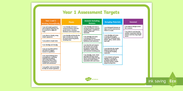 Year 1 Science Assessment Display Poster