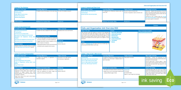 FREE! - KS3 Cells and Organisation Unit Overview | Biology | Beyond