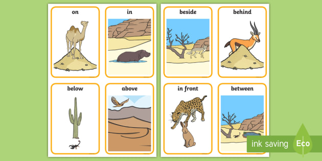 Desert Themed Positional Language Flash Cards