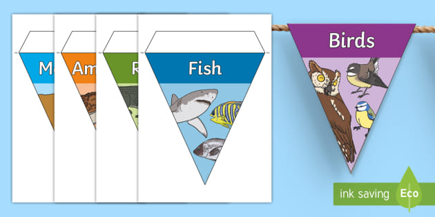 Animal Bunting - Animal Groups Display Bunting - Resources