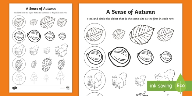 circle objects worksheet
