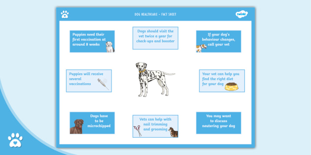 Dog Healthcare - Fact Sheet (Teacher-Made)