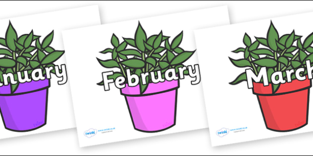 Months of the Year on Plants