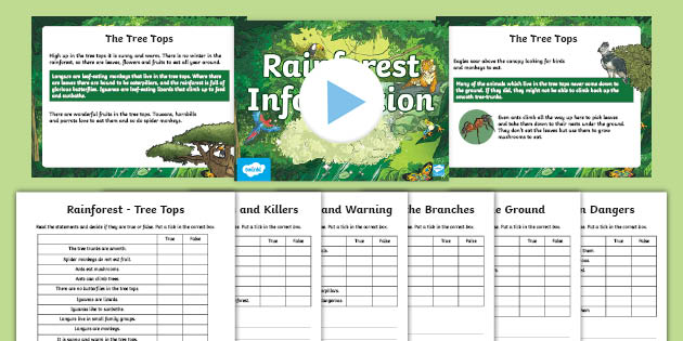 Rainforest Information PowerPoint and Worksheet Pack - australia