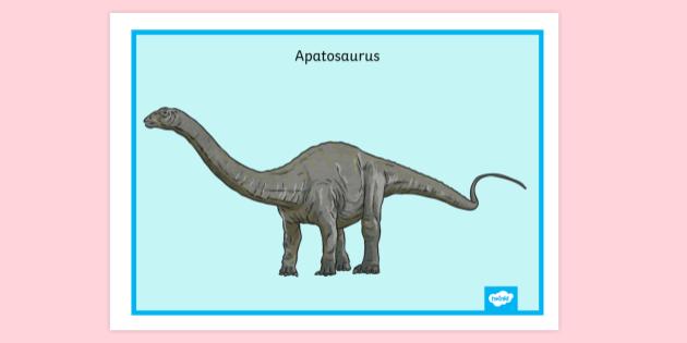 FREE! - Apatosaurus Display Poster | Primary Resources