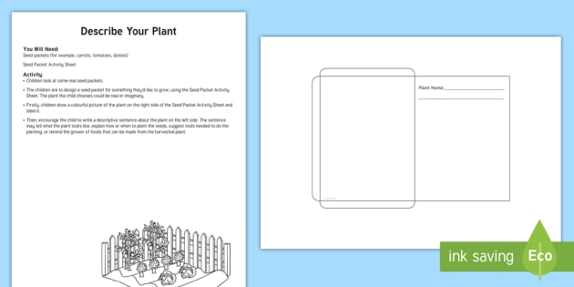 Describe Your Plant Activity