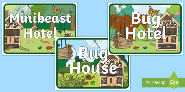 Bug Hotel Display Poster Resource Pack (teacher made)
