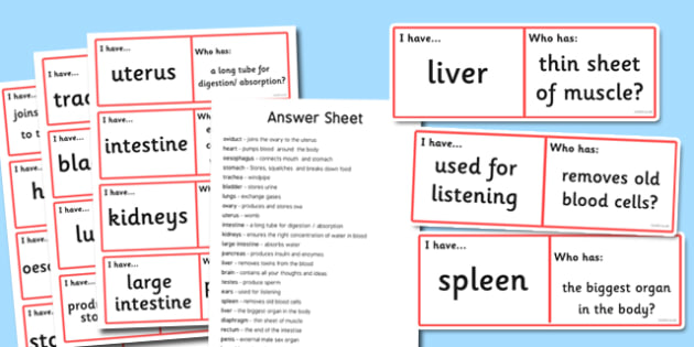 Organs and their Functions Loop Cards (teacher made)