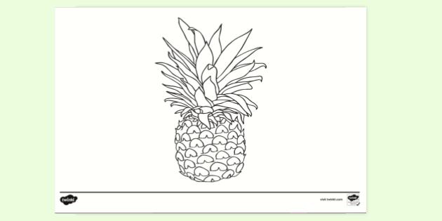FREE! - Pineapple Printable Colouring Page | Colouring Sheets