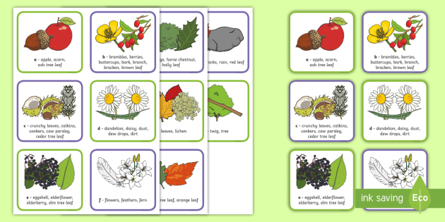Phonics in the Woods: Silly Soup Potion Cards