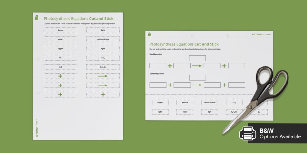 Photosynthesis Equation Cut and Stick (teacher made)
