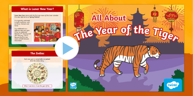 EYFS All About Tigers Lunar New Year PowerPoint