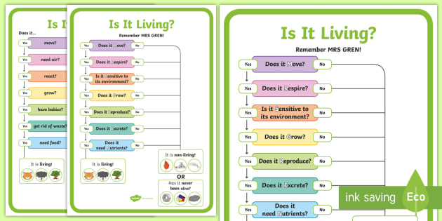 Is It Living or Non-Living? Display Poster (teacher made)