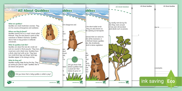All About Quokkas: Differentiated Reading Comprehension Task