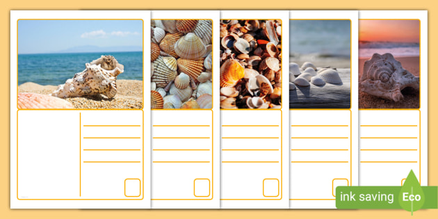 FREE! - Seashell Postcards (teacher made)