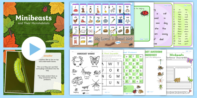 Australia Minibeast Literacy Resource Pack (teacher made)
